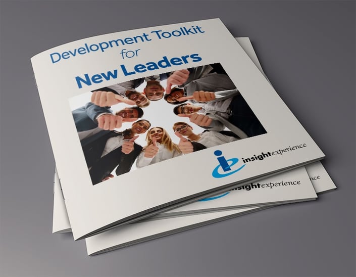 Development Toolkit for First Level Leaders | Insight Experience